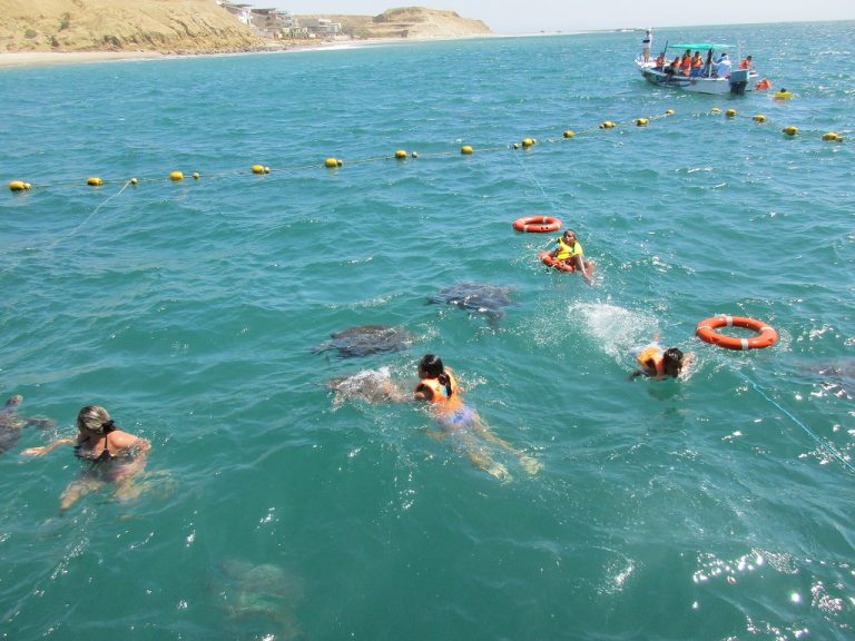 Bucear en Perú: descubre los 3 mejores lugares para practicar este ...