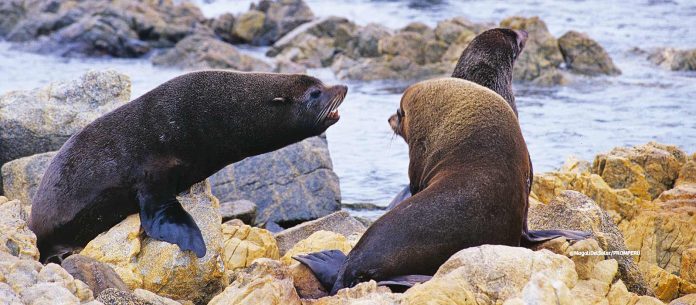Viajar por Perú - Viajar por Perú