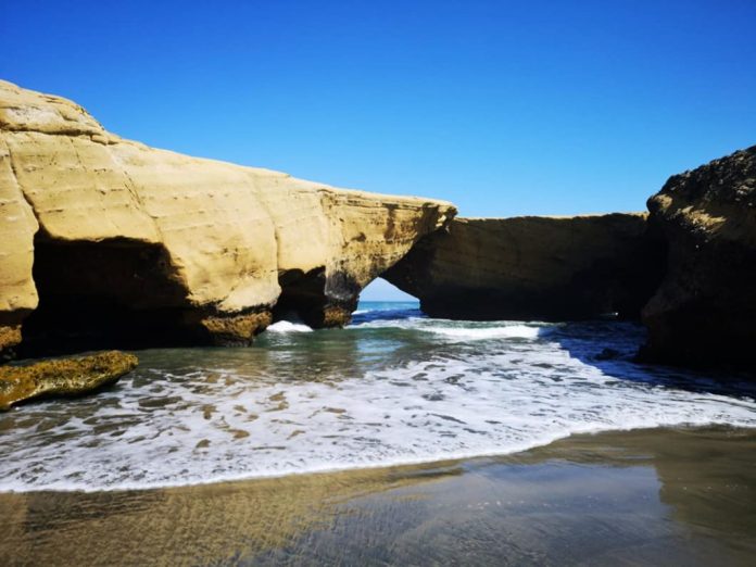 Marcona: conoce la cuna de los pingüinos en Ica – Viajar por Perú