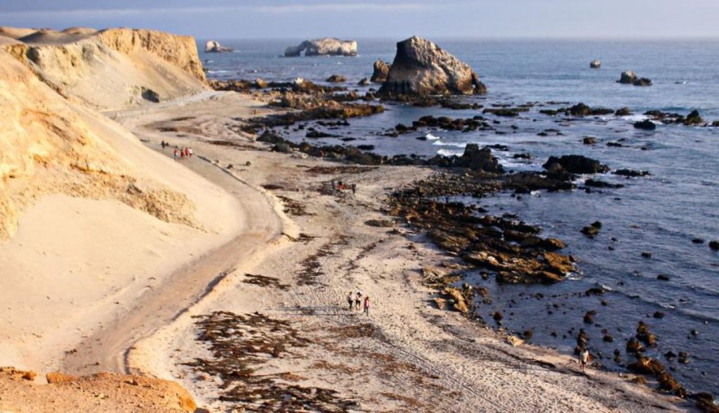 Marcona: conoce la cuna de los pingüinos en Ica - Viajar por Perú