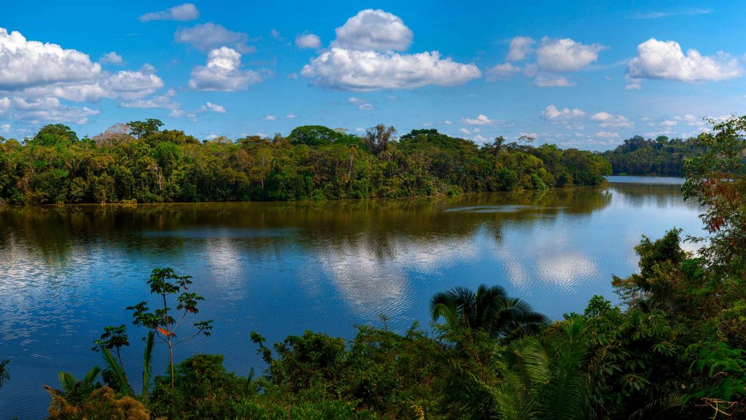 7 atractivos turísticos de la selva peruana que debes descubrir ...