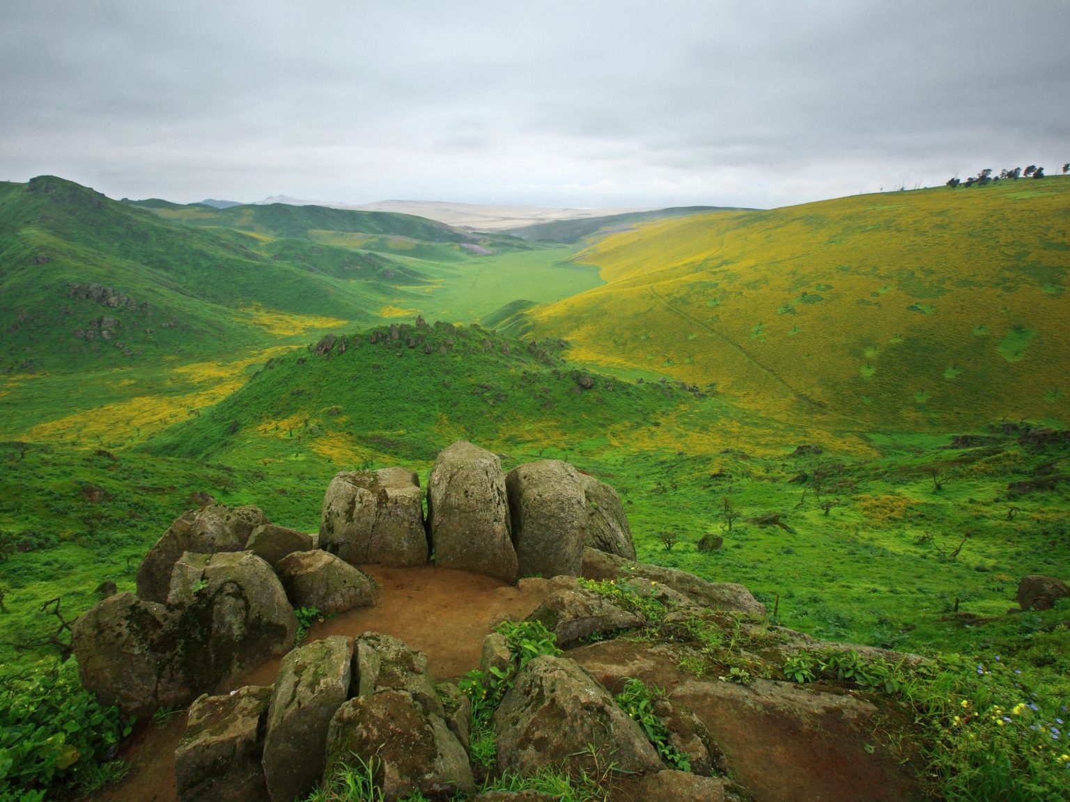 Lista reservas nacionales del Perú: descubre la relación completa y ...