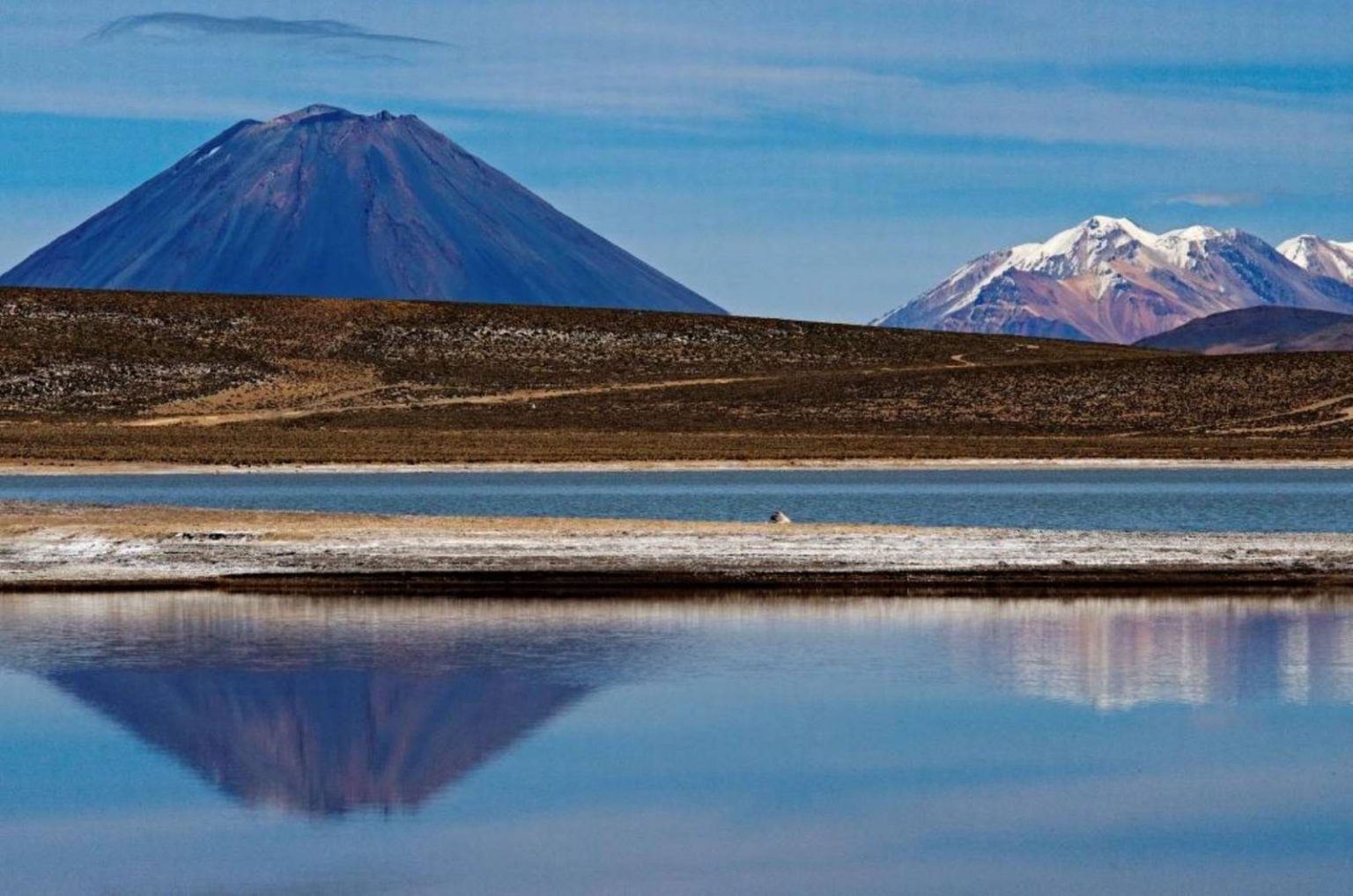 Laguna de Salinas: descubre el bello salar que esconde Arequipa